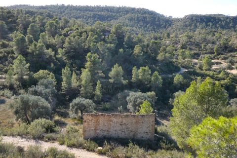 Hus på landet till salu, i Maella, Zaragoza - € 7 500 | Ref: 0954 | Kyero