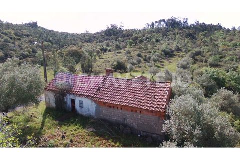 Country house for sale in Freixianda, Santarem - € 39,500 | Ref: 814/22 ...
