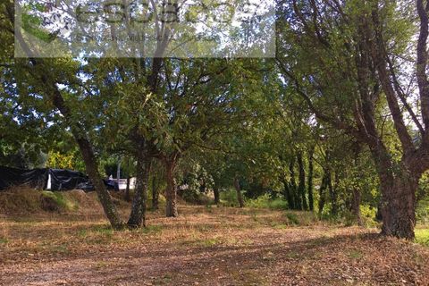 Terrain à vendre - Fundao, Castelo Branco - € 210 000 | Réf: 4642/GA ...