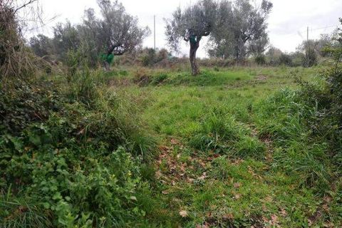 Country house for sale in Agropoli, Salerno - € 280,000 | Ref: 46 | Kyero