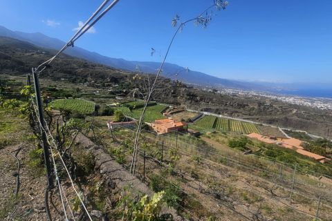Country house for sale in Guimar, Tenerife - € 240,000 | Ref: GI8126 ...