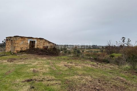 Land for sale in Seia, Guarda - € 47,500 | Ref: 336250046 | Kyero