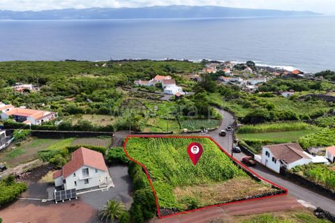 Grond te koop in Lajes do Pico, Pico - € 41.000 | Ref: 374250182 | Kyero