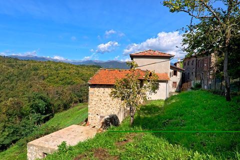 Country house for sale in Minucciano, Lucca - € 90,000 | Ref: GRF-1879 ...