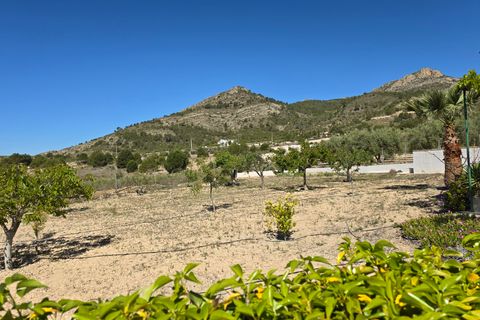 Country house for sale in Sax, Alicante - € 92,500 | Ref: Rafa Rubia ...