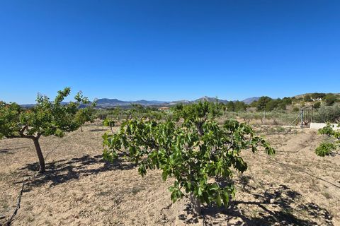 Country house for sale in Sax, Alicante - € 92,500 | Ref: Rafa Rubia ...