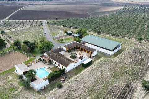 Country house for sale in Moron De La Frontera, Sevilla - € 795,000 ...