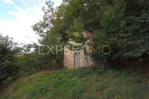 Land for sale in Seia, Guarda - € 23,000 | Ref: TER_2071 | Kyero