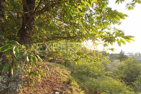 Land for sale in Seia, Guarda - € 23,000 | Ref: TER_2071 | Kyero