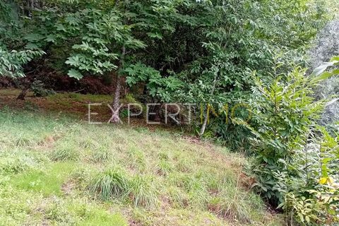 Land for sale in Seia, Guarda - € 23,000 | Ref: TER_2071 | Kyero
