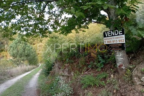 Land for sale in Seia, Guarda - € 23,000 | Ref: TER_2071 | Kyero