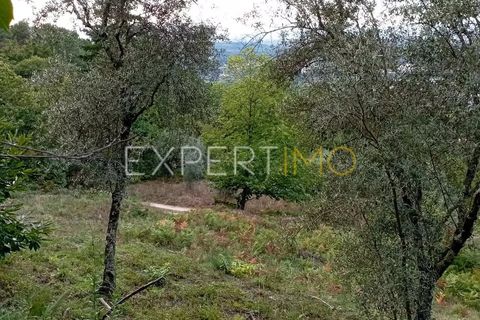 Land for sale in Seia, Guarda - € 23,000 | Ref: TER_2071 | Kyero