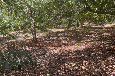 Country house for sale in Coin, Malaga - € 320,000 | Ref: P4364 | Kyero