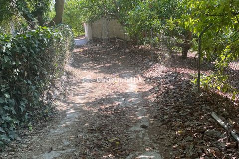 Country house for sale in Coin, Malaga - € 320,000 | Ref: P4364 | Kyero