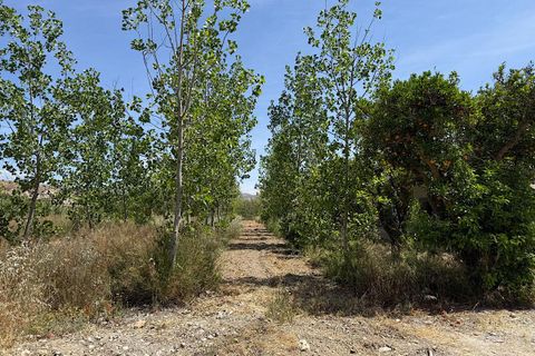 Country house for sale in Bentarique, Almeria - € 265,000 | Ref: BENT ...