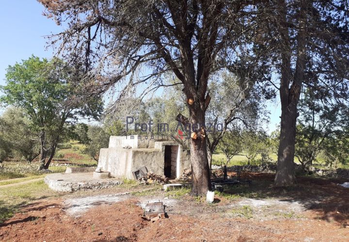 Country house for sale in Ostuni, Brindisi - € 23,000 | Ref: 173042 | Kyero