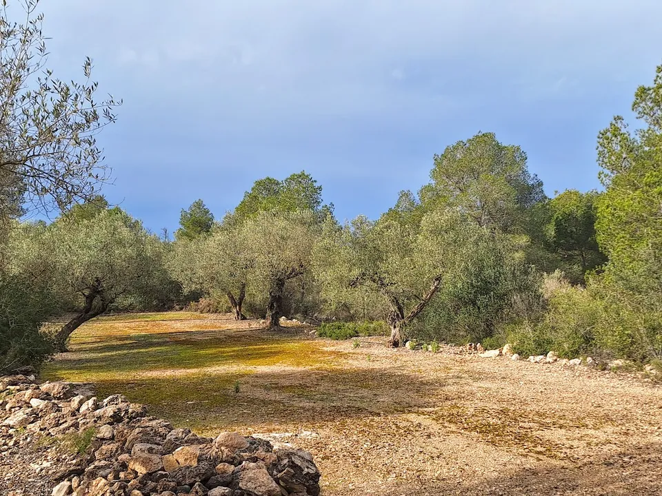 Plots of land for sale in Spain | Kyero